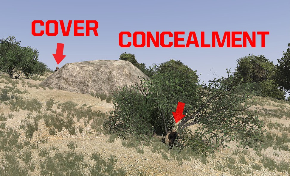 COVER VS. CONCEALMENT - MLK ABILITIES